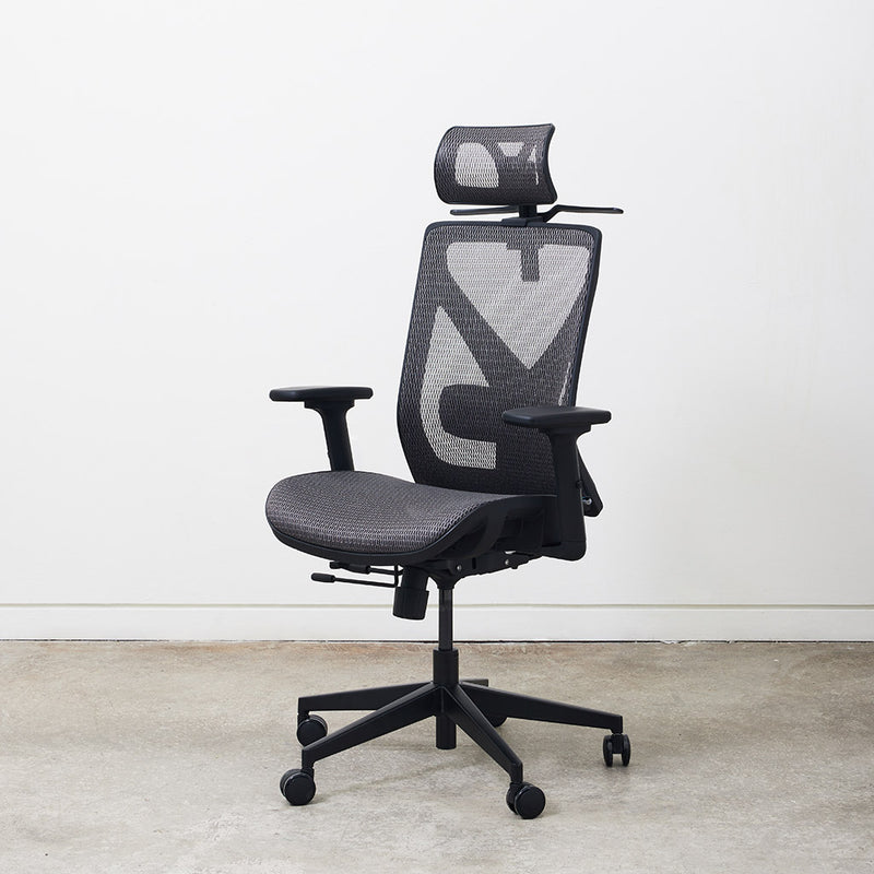 Rise Ergo Chair Pro (Dark Grey)