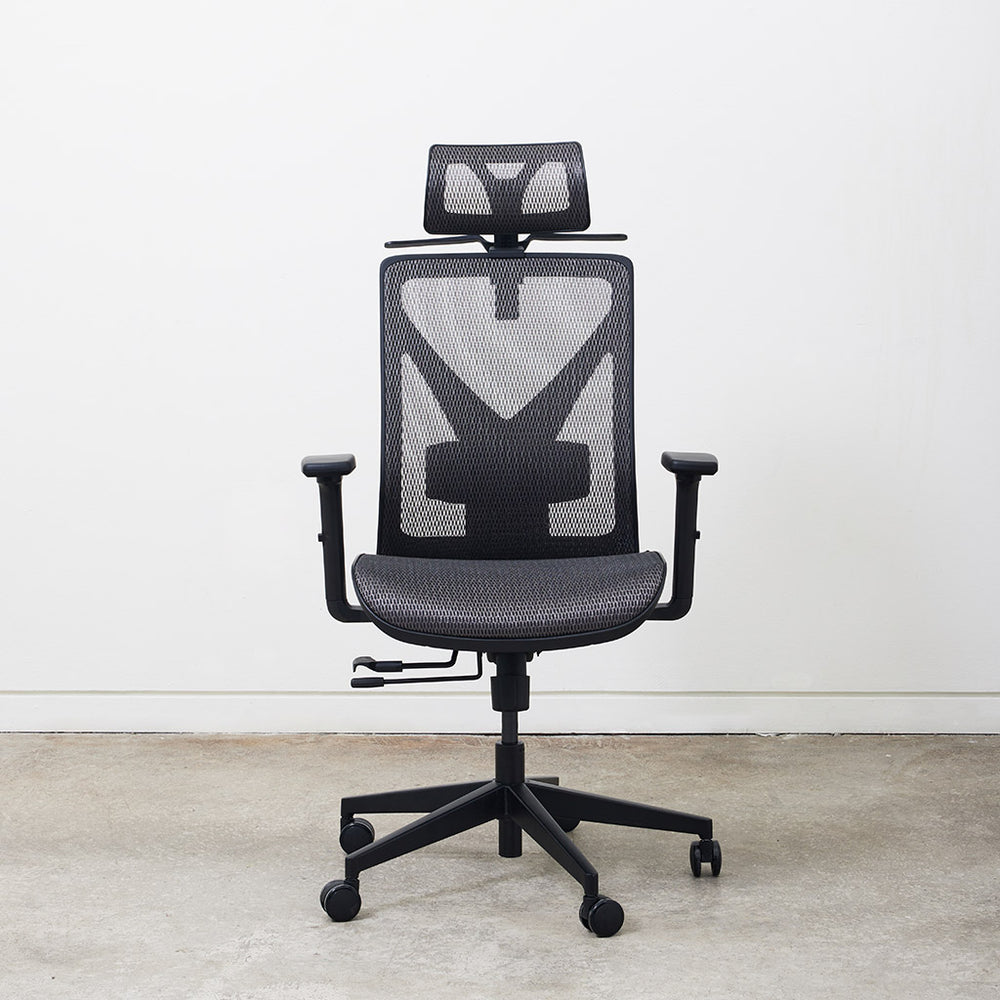 Rise Ergo Chair Pro (Dark Grey)