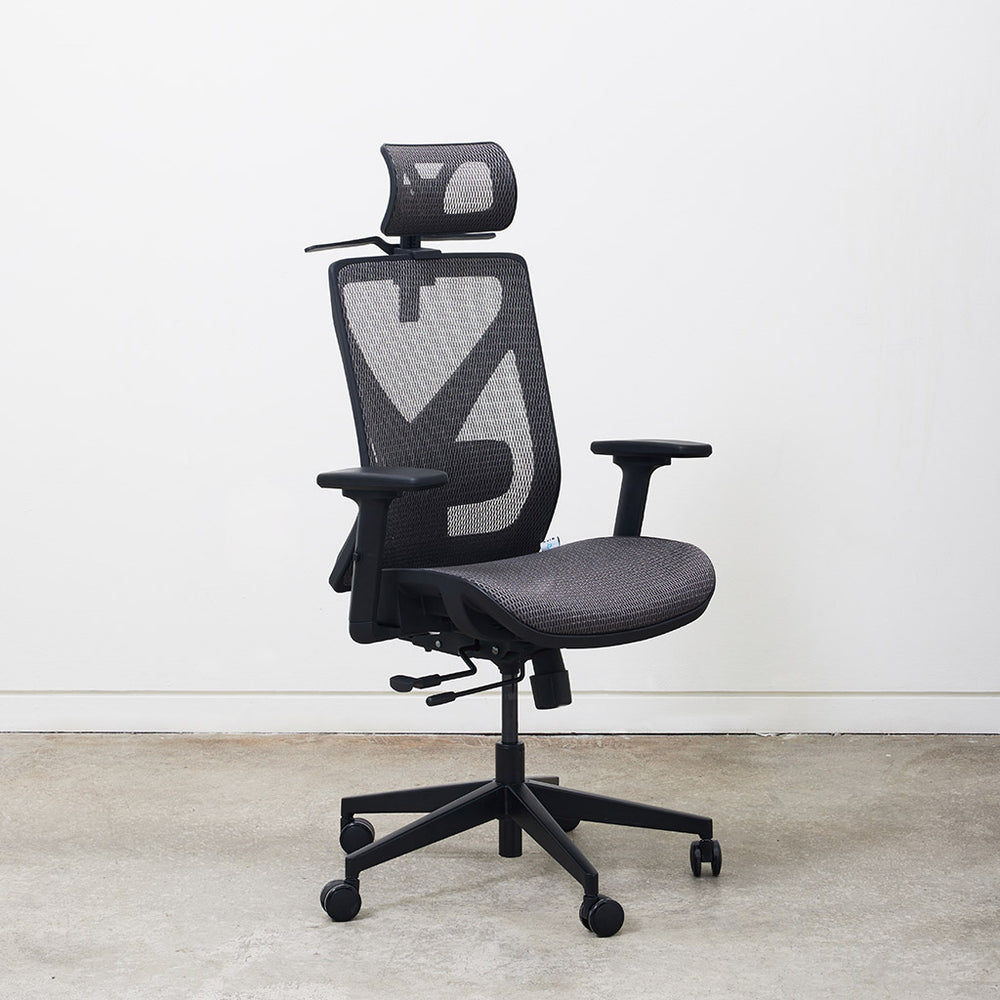 Rise Ergo Chair Pro (Dark Grey)
