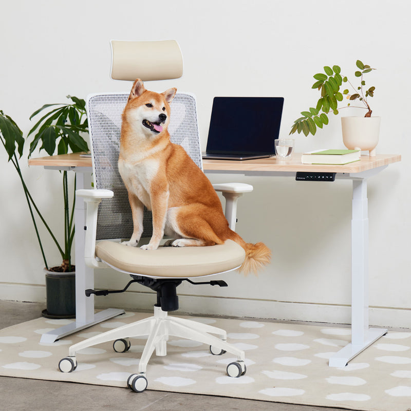 Electric standing desks - Proudly Canadian.